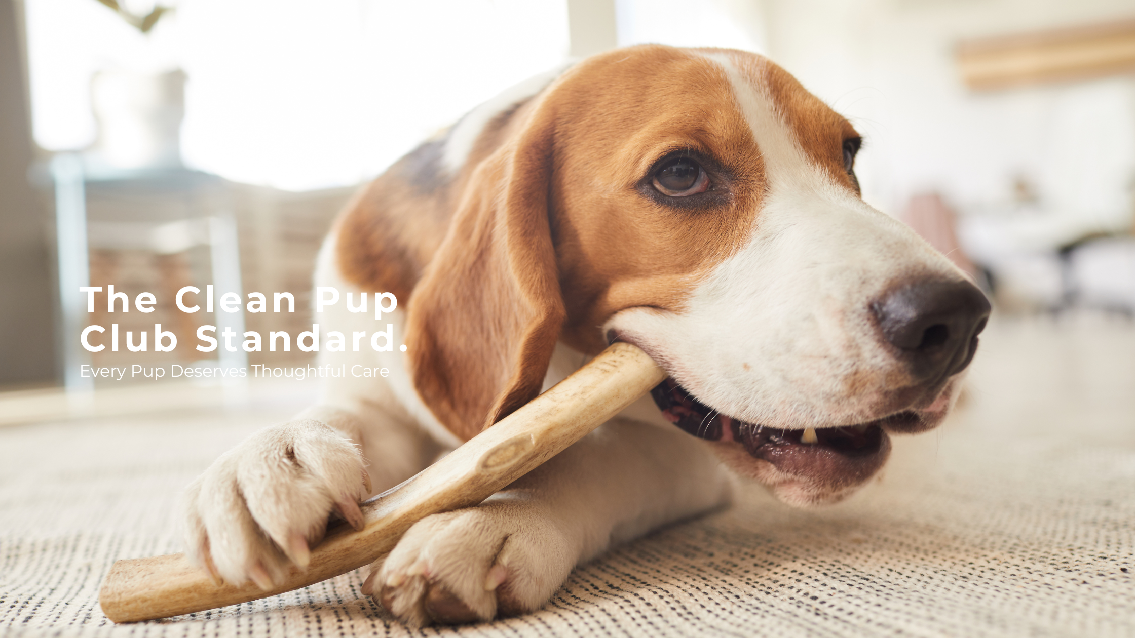 The Clean Pup Club Standard – PUPPIST