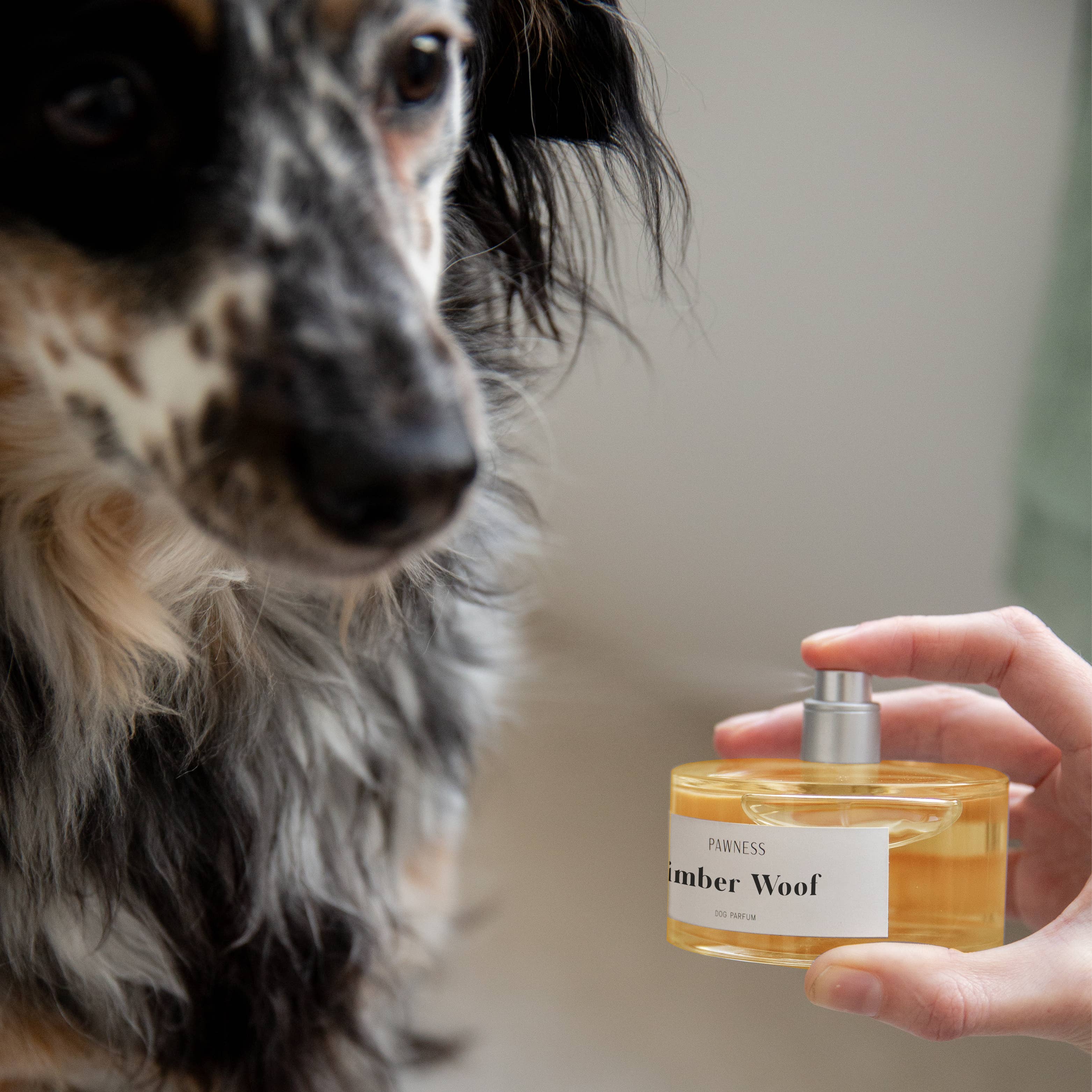 Dog Perfume Timber Woof – PUPPIST